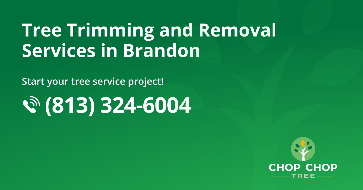 Tree Removal & Tree Services in Brandon | Chop Chop Tree